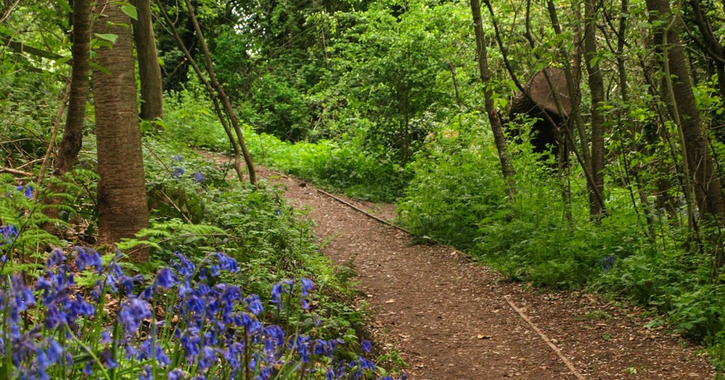 Prayer Walks | St Mark's Church, Winshill